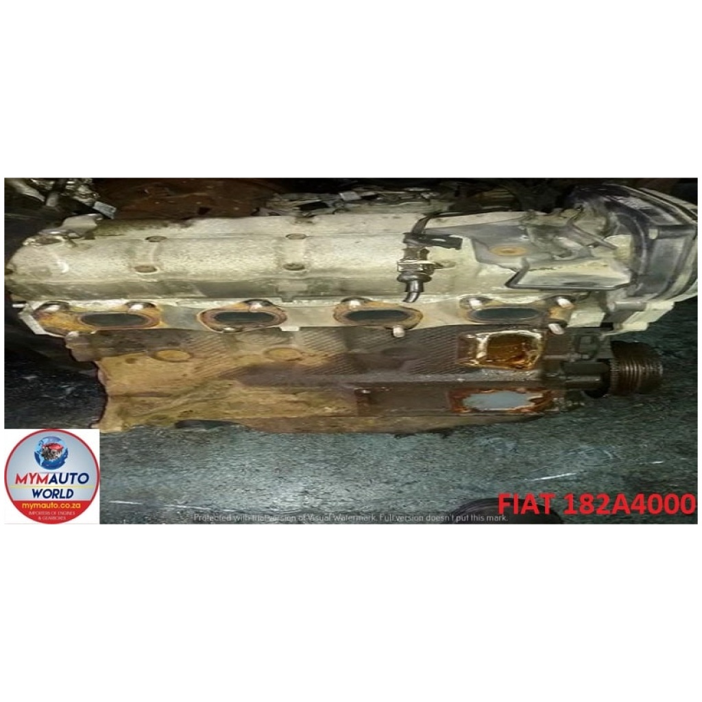 FIAT 1.6L 16V - MYM Auto World