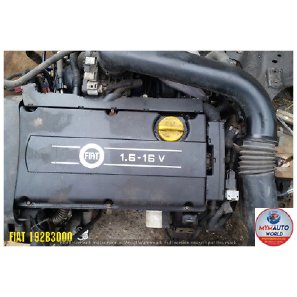 FIAT 1.6L 16V - MYM Auto World