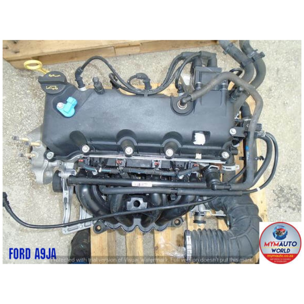 Ford Archives - MYM Auto World